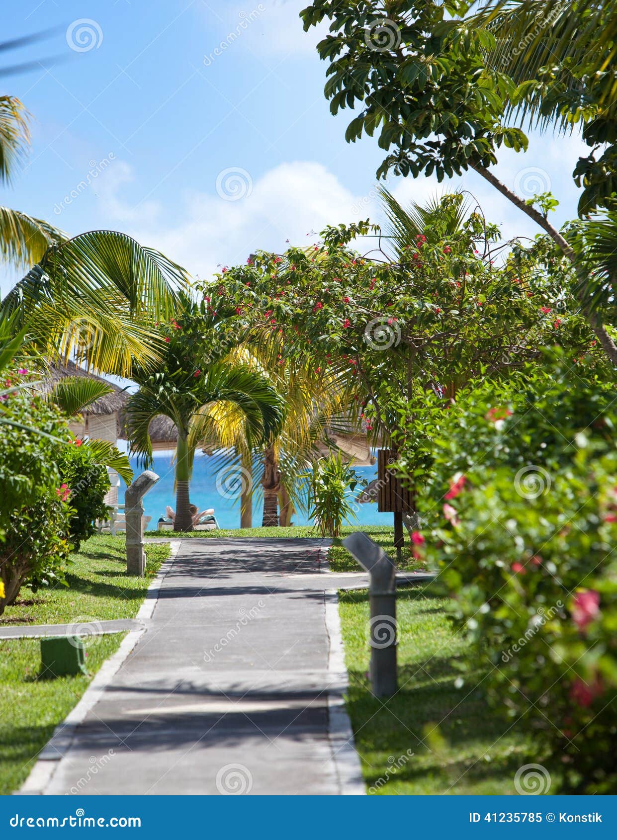 Footpath To the Sea among Tropical Vegetation. Mauritius. Stock Image ...