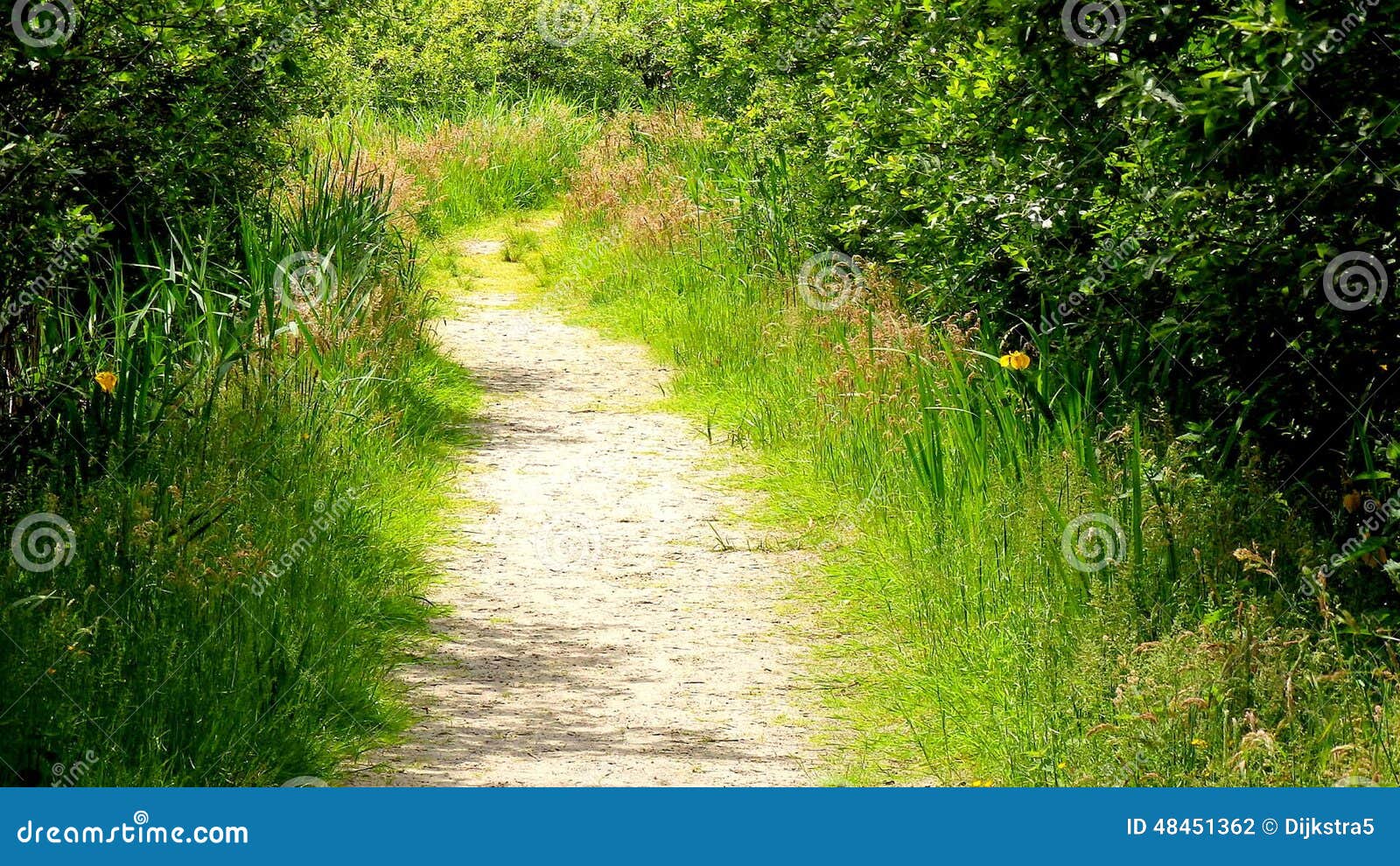 Footpath stock photo. Image of white, path, footpath - 48451362