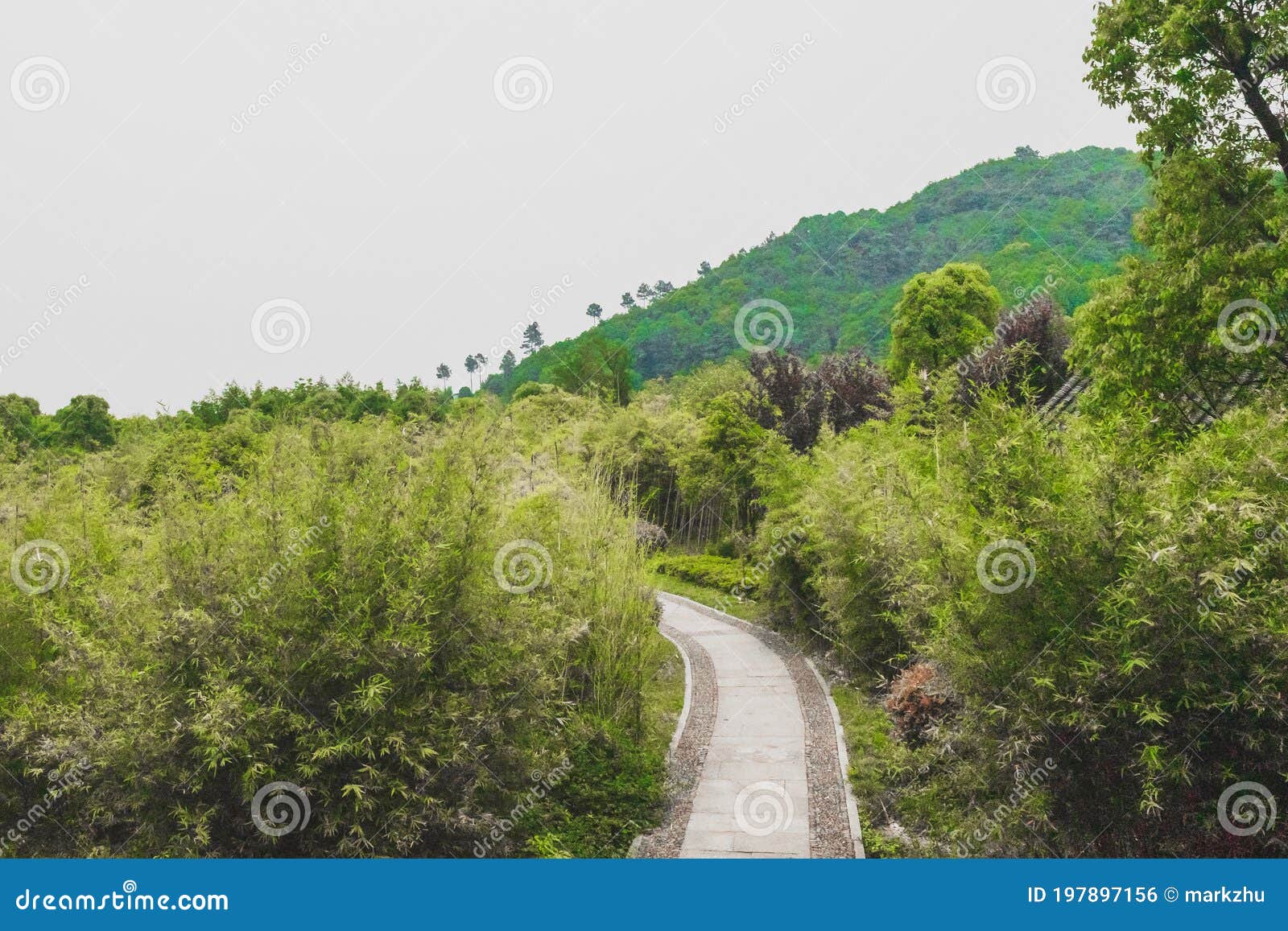 Footpath between Trees in Lanting Orchid Pavilion Scenic Area, Shaoxing ...