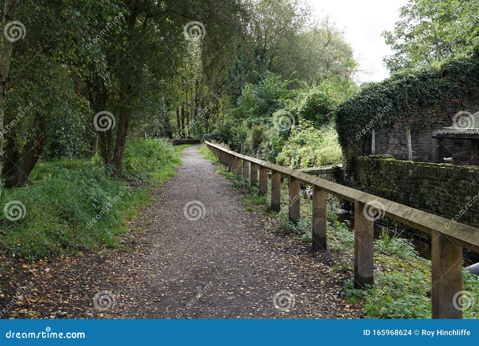 Footpath with Trees and Wood Fence Editorial Stock Image - Image of ...