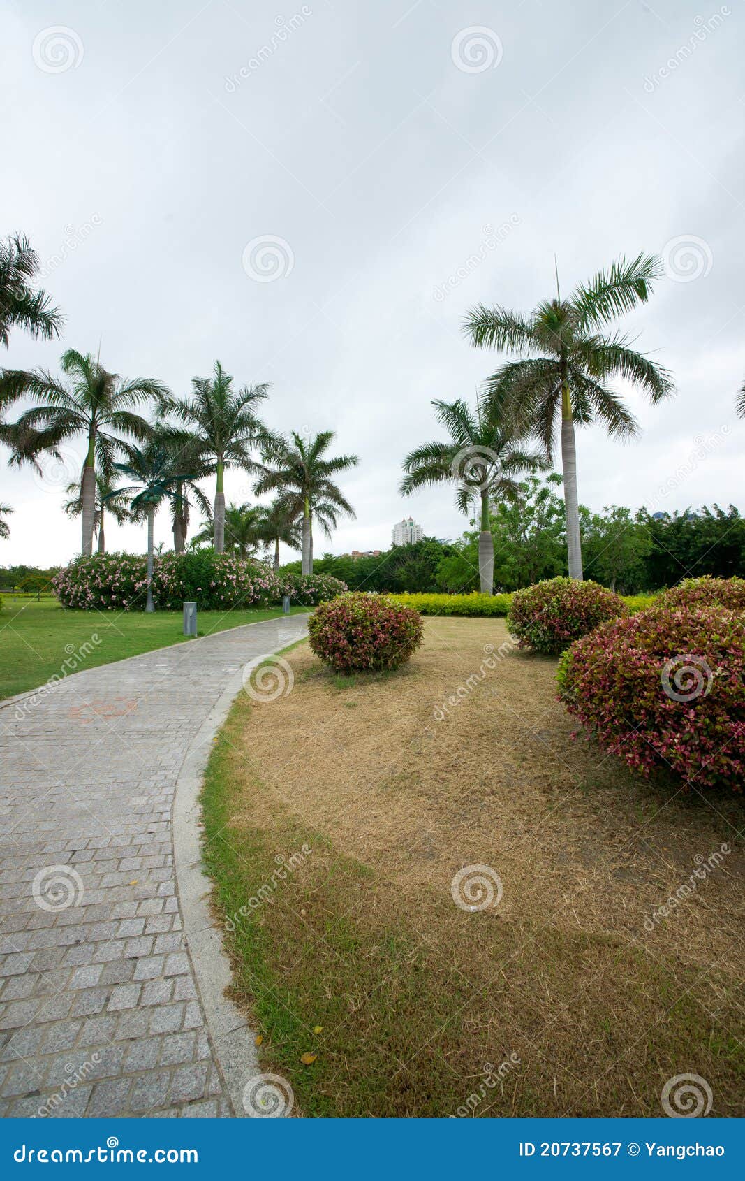 Footpath in tropical park stock image. Image of park - 20737567