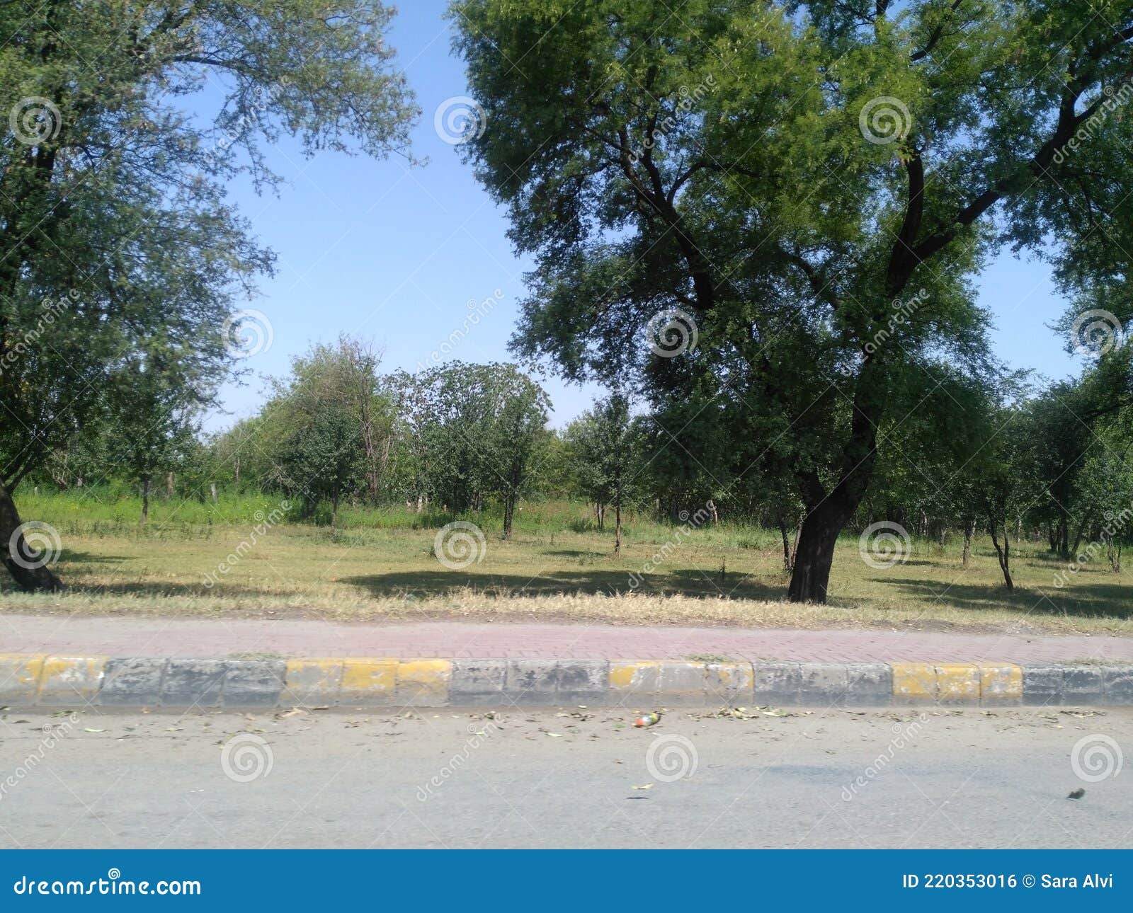 Footpath view in Islamabad stock photo. Image of tree - 220353016