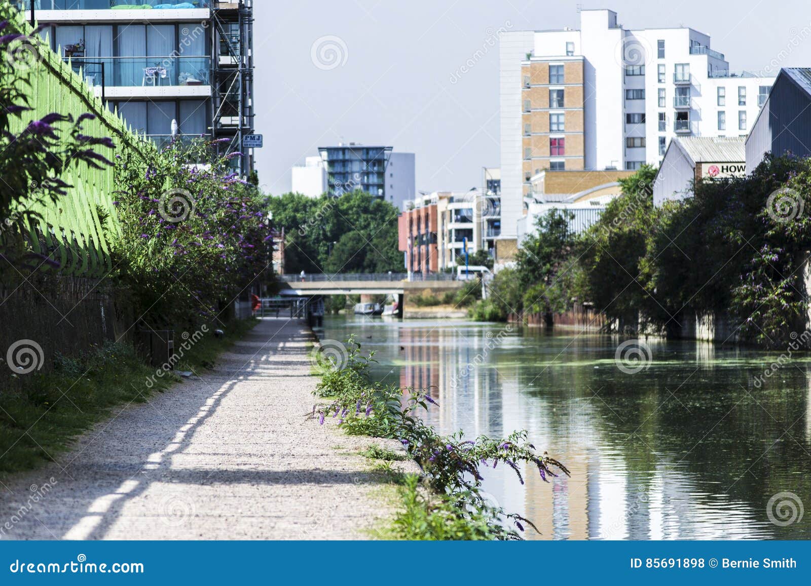 Footpath Along Canal in London Stock Photo - Image of buddleia, trees ...