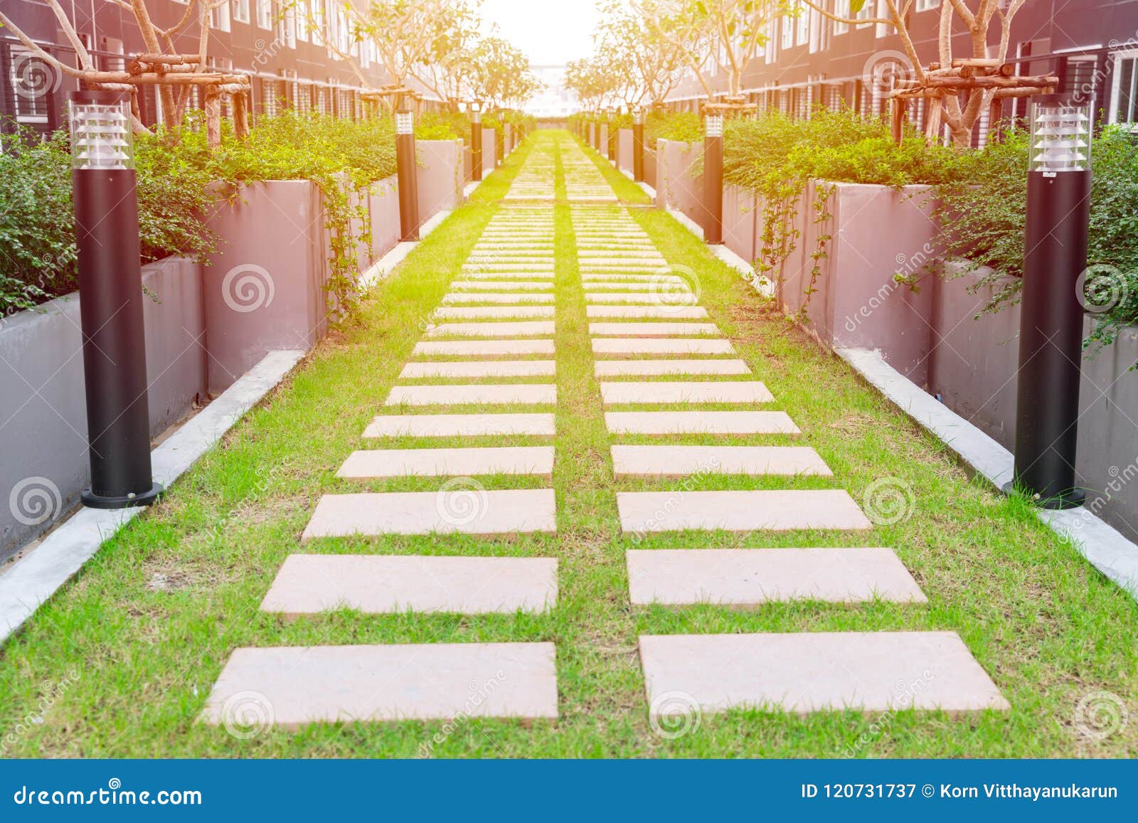 Footpath Walking Pathway Go Forward in the Garden Stock Image - Image ...