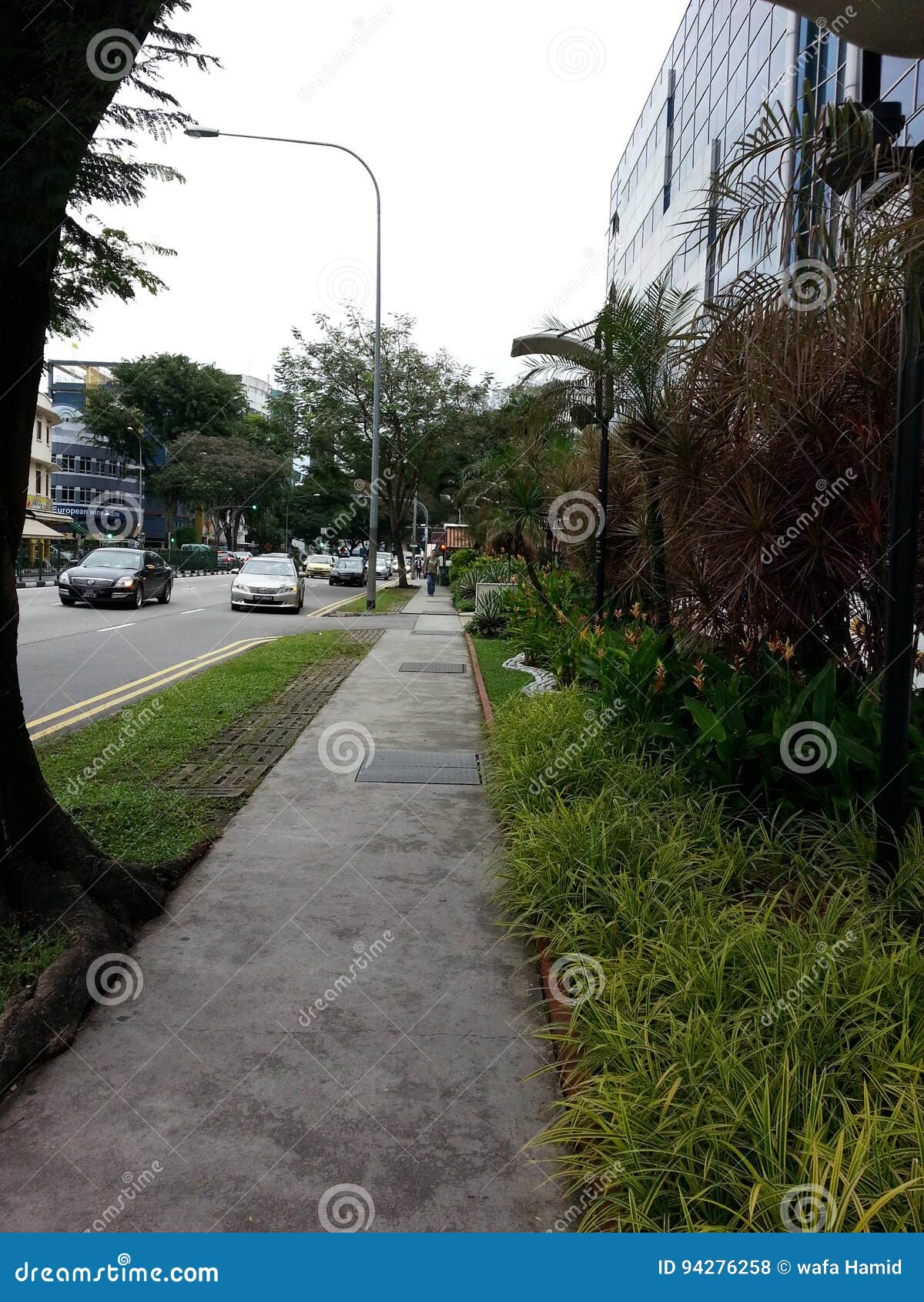 Footpath editorial stock photo. Image of walking, plants - 94276258