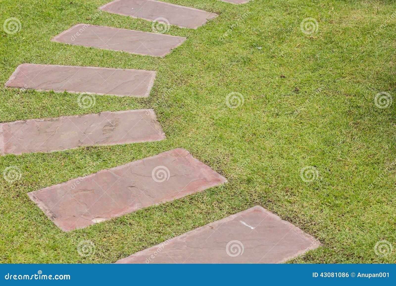 Footpath stock photo. Image of concept, direction, nature - 43081086