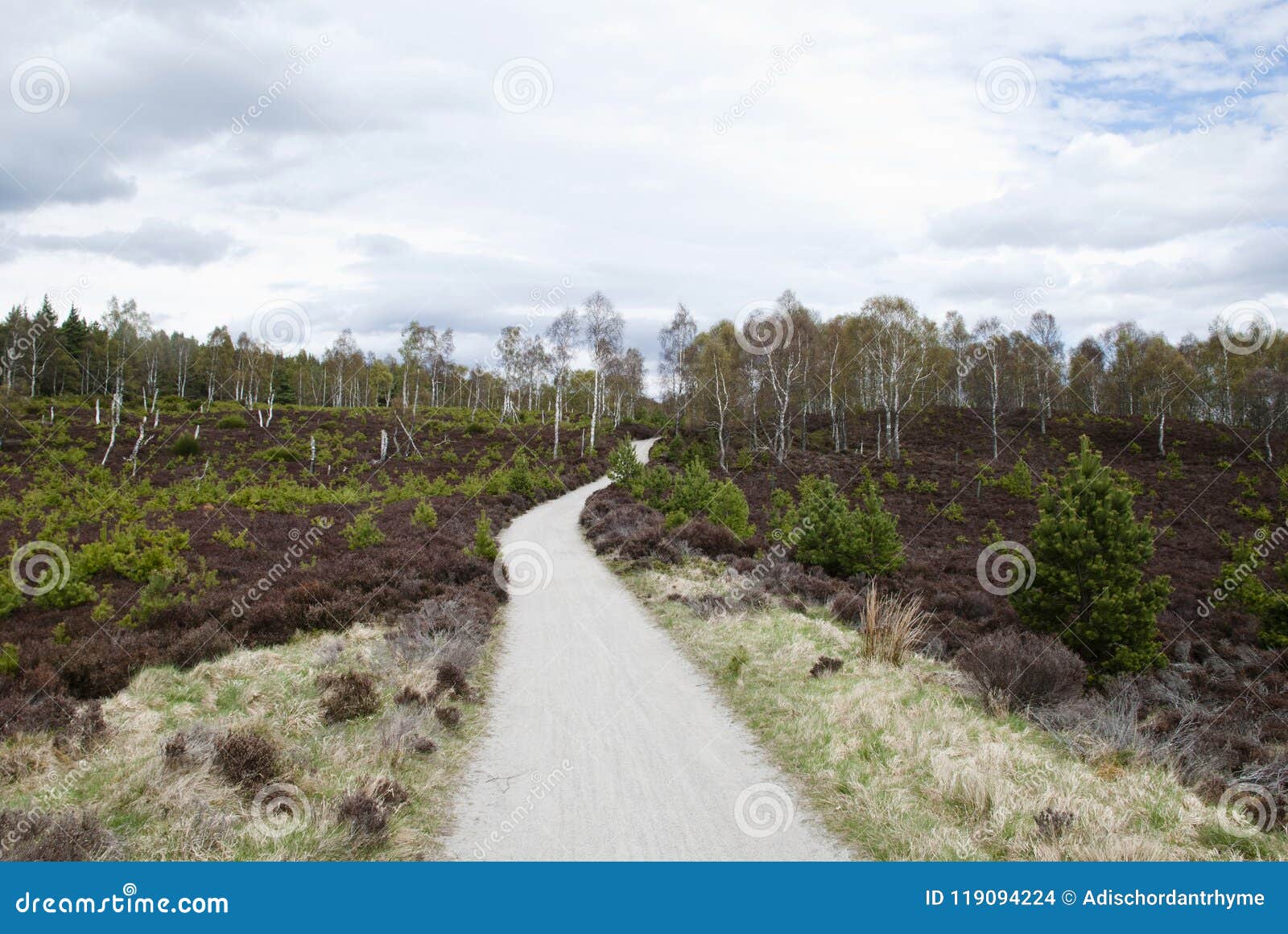 Highland Path stock photo. Image of scotland, highlands - 119094224