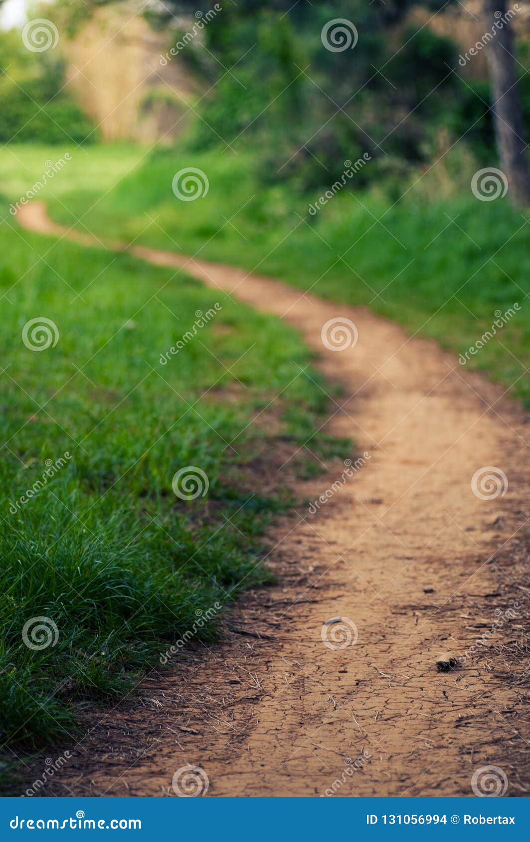 Footpath Winding through Meadow by the Forest Stock Photo - Image of ...