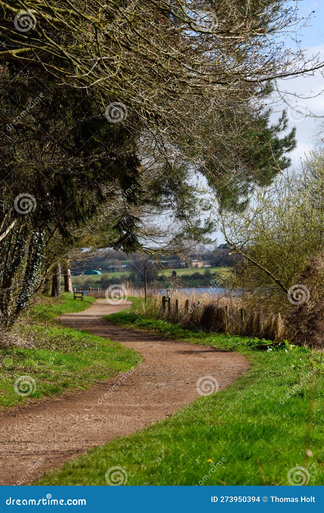 Footpath Winding Trough a Forest Walking Route with a River on the ...