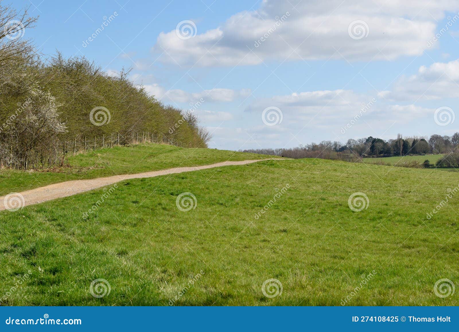 Footpath Winding Trough a Forest Walking Route with a River on the ...
