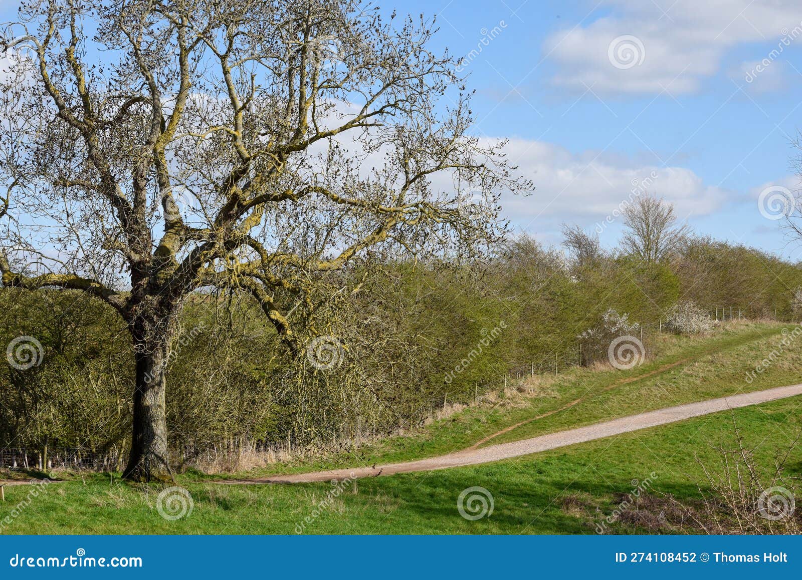 Footpath Winding Trough a Forest Walking Route with a River on the ...
