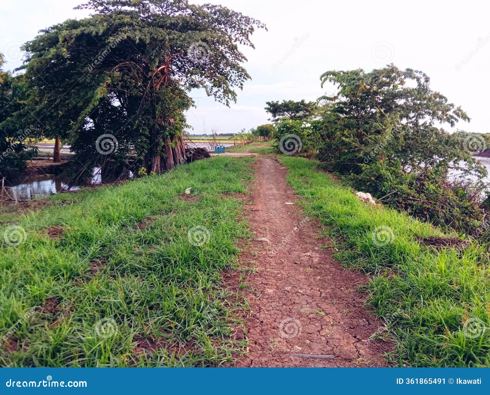 Footpaths in Remote Villages Lead To Rice Fields and Plantations Stock ...