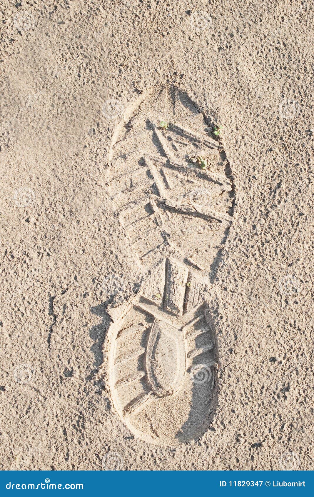 Footprint stock image. Image of human, plant, mark, protector - 11829347