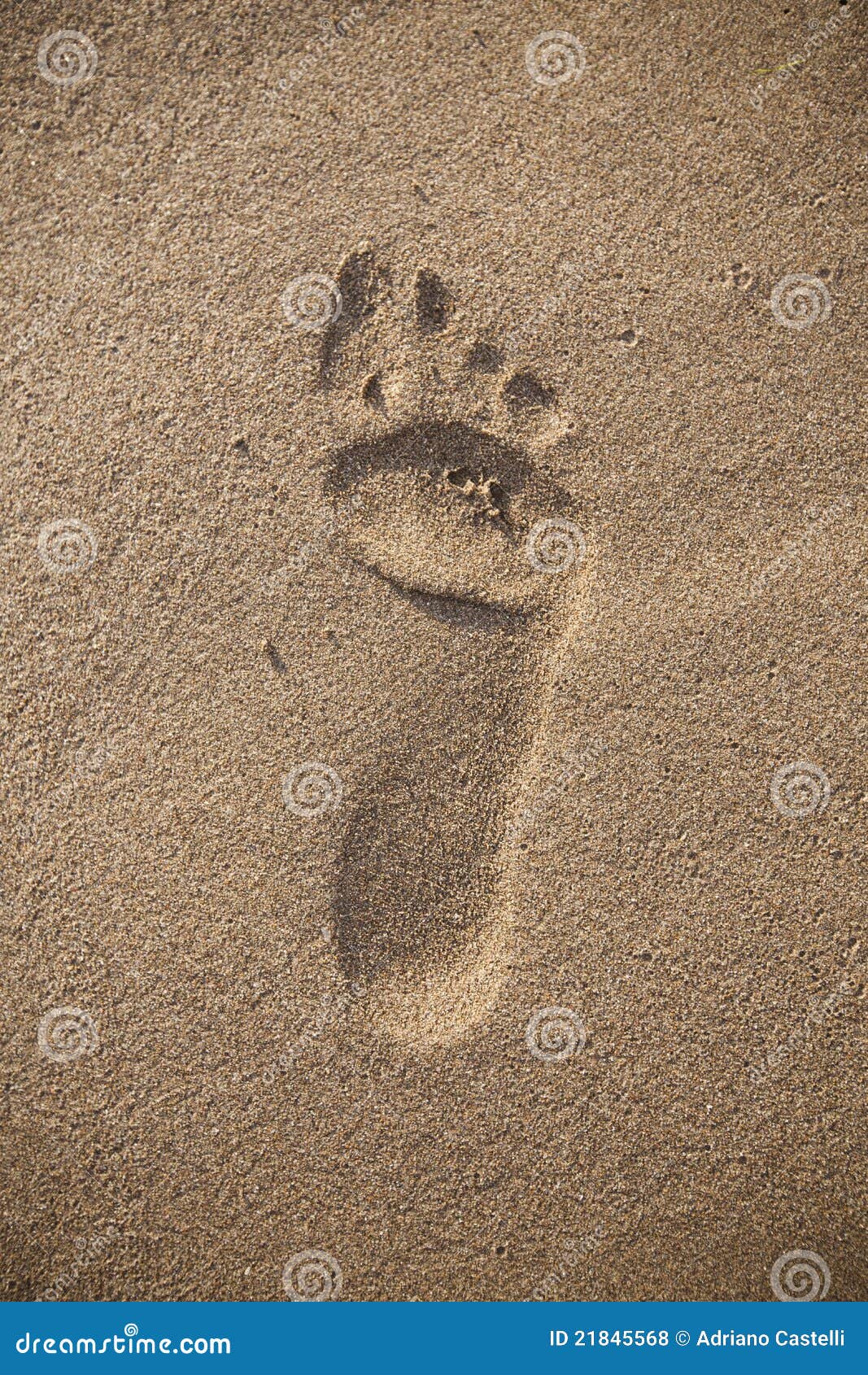 Footprint stock photo. Image of isolation, foot, isolated - 21845568