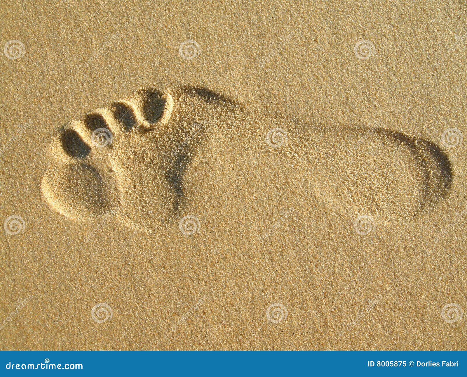 Footprint stock image. Image of foot, imprint, seasonal - 8005875