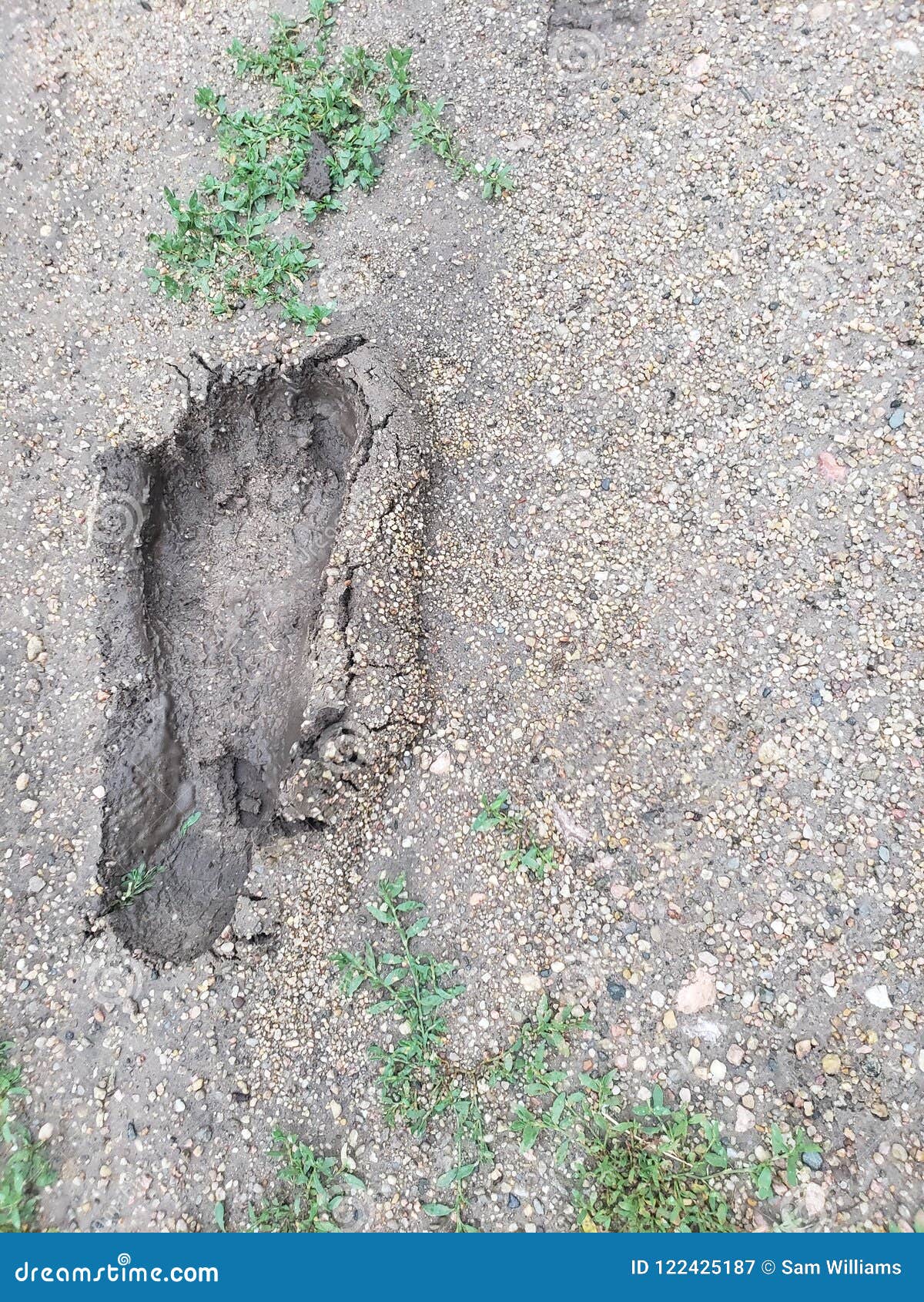 Footprint in the mud stock image. Image of walking, deep - 122425187