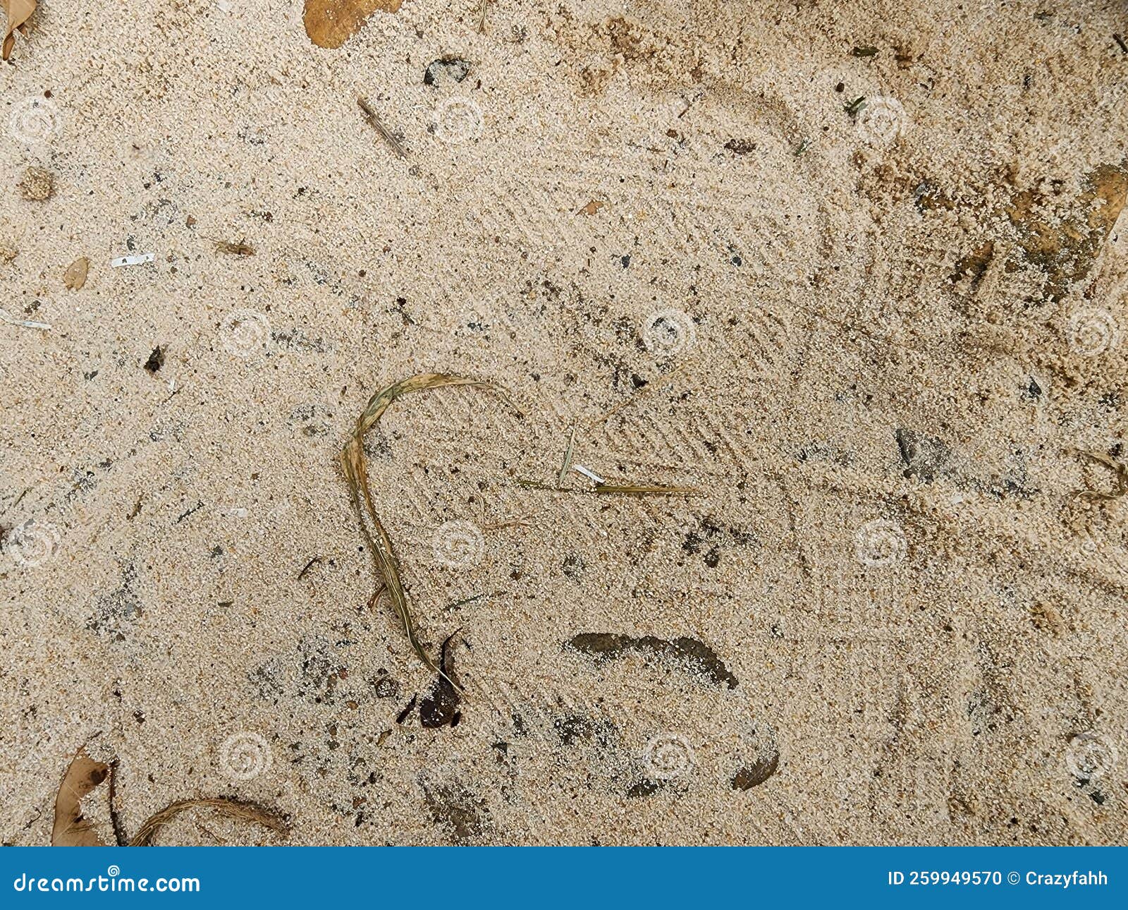 Dirty Sand Texture Floor,background Royalty-Free Stock Photo ...