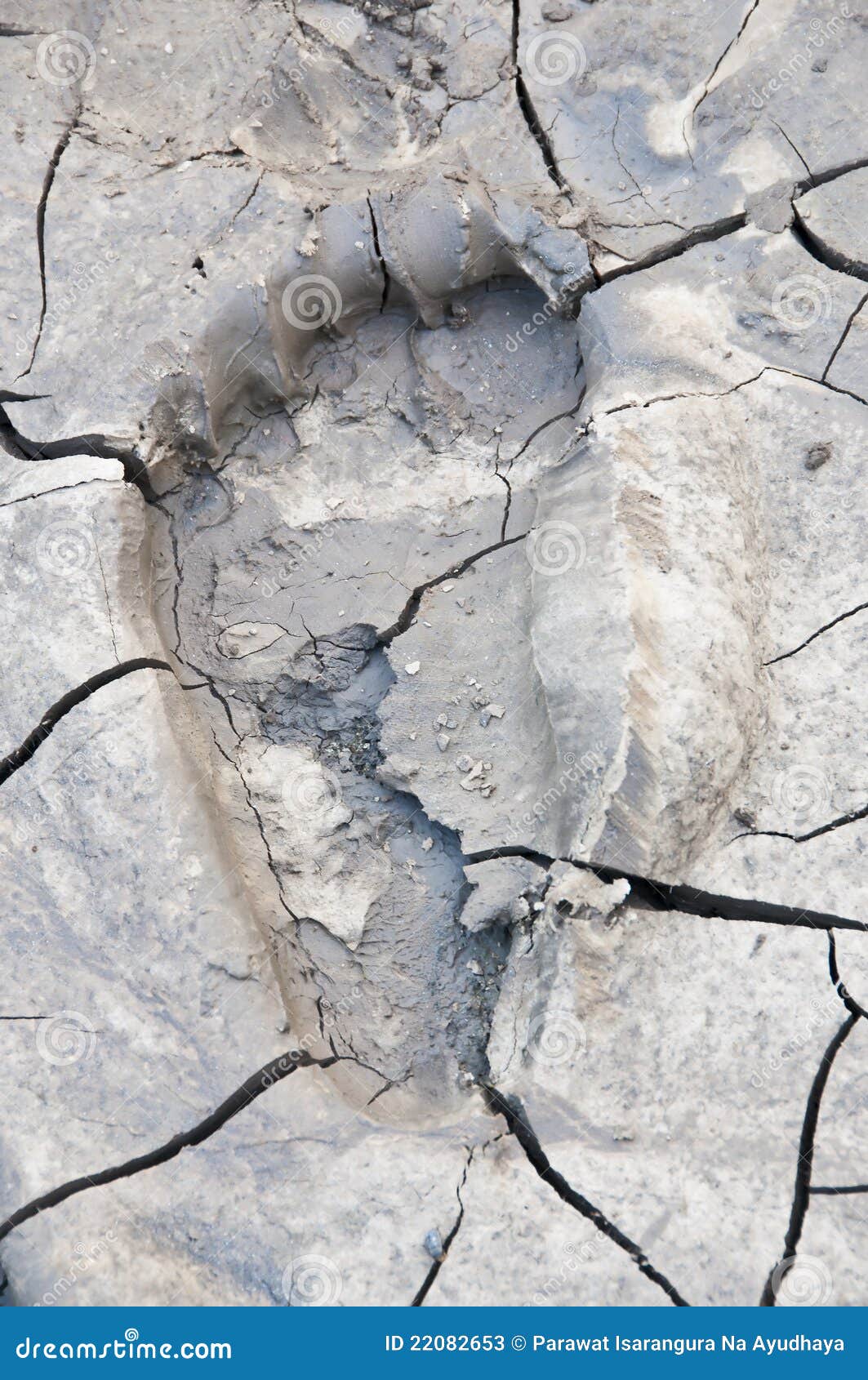 Footprint on dry mud. stock image. Image of humanity - 22082653
