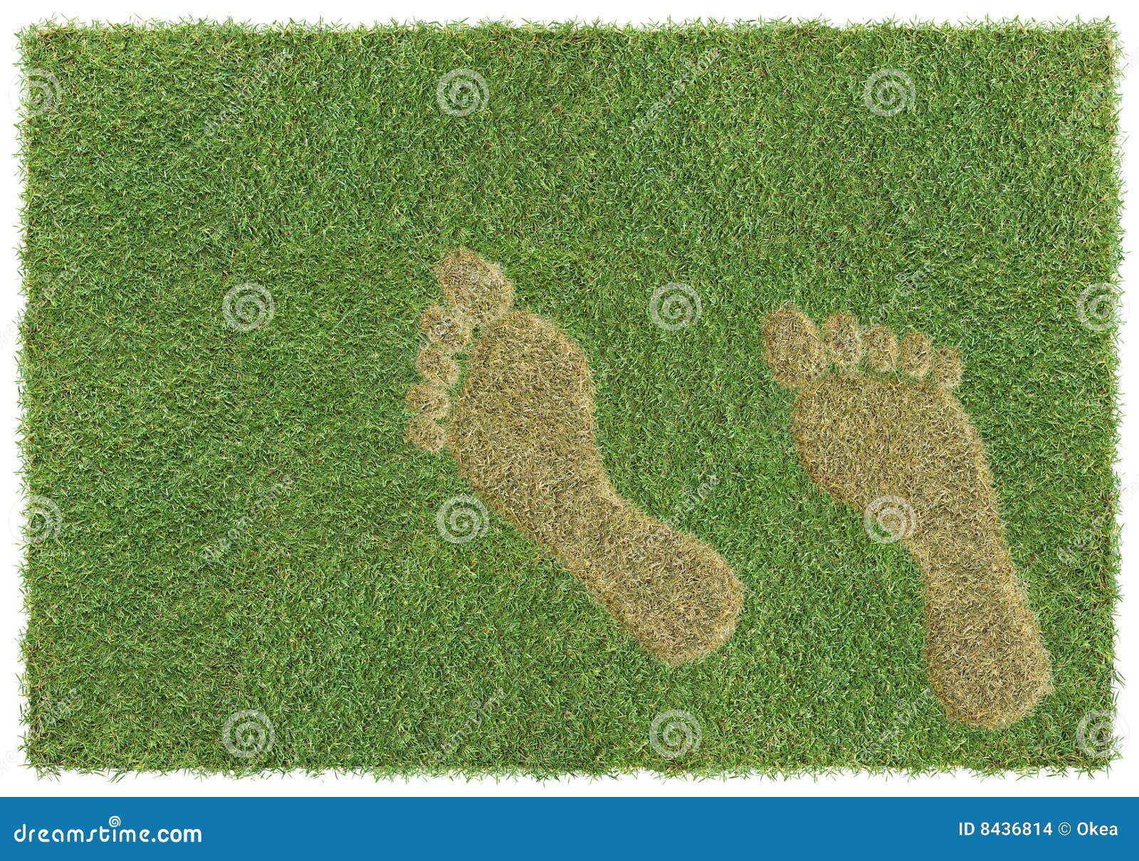 Footprint on grass stock photo. Image of lawn, damage - 8436814