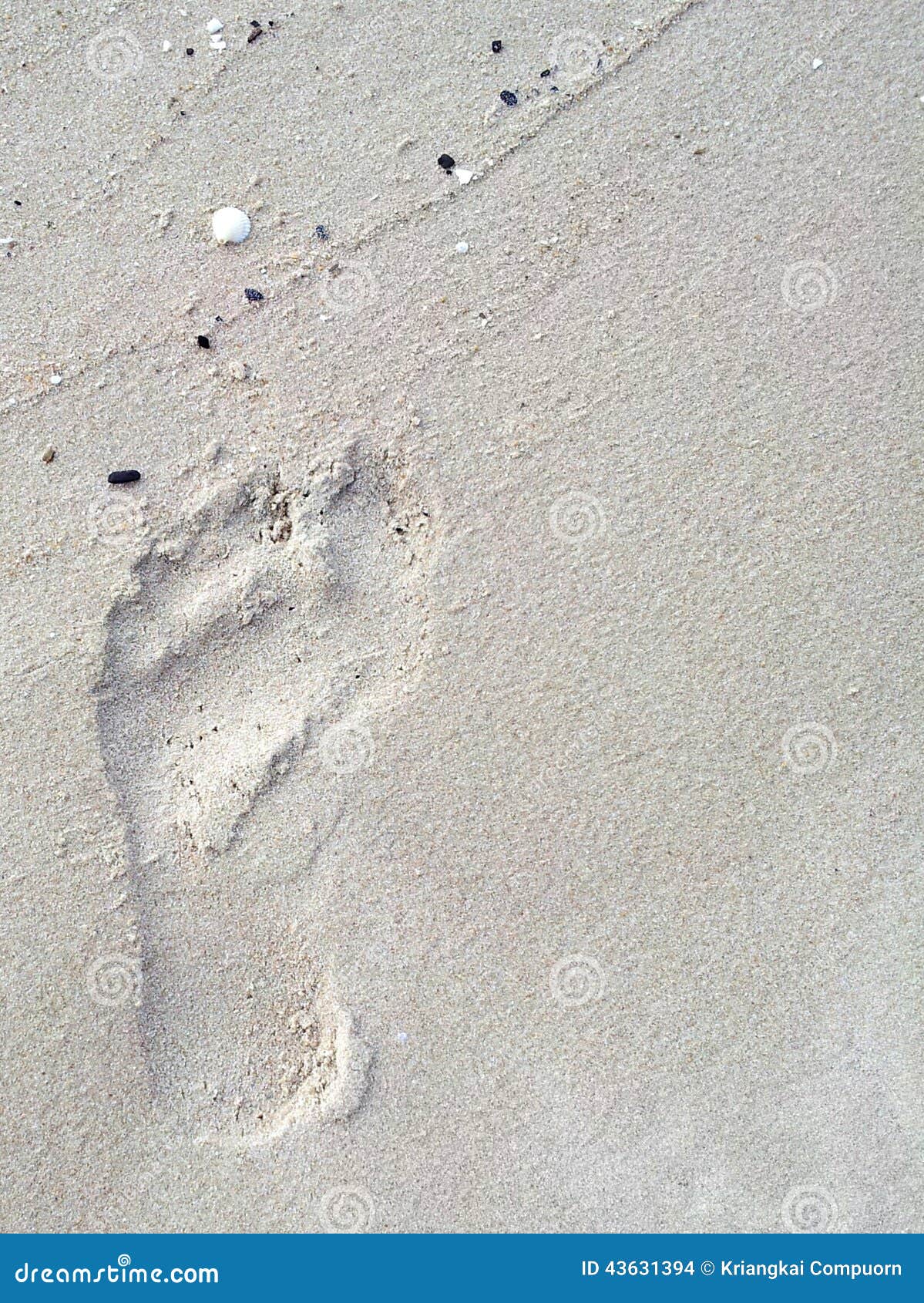 Footprint stock photo. Image of bstract, tourism, beach - 43631394