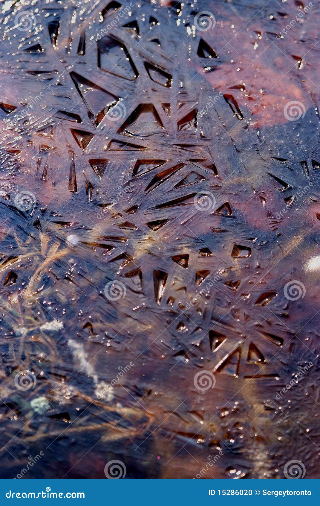 Footprint on iced puddle stock photo. Image of solid - 15286020