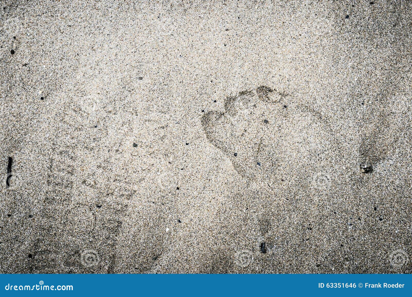 Footprint stock photo. Image of footprints, right, footwear - 63351646