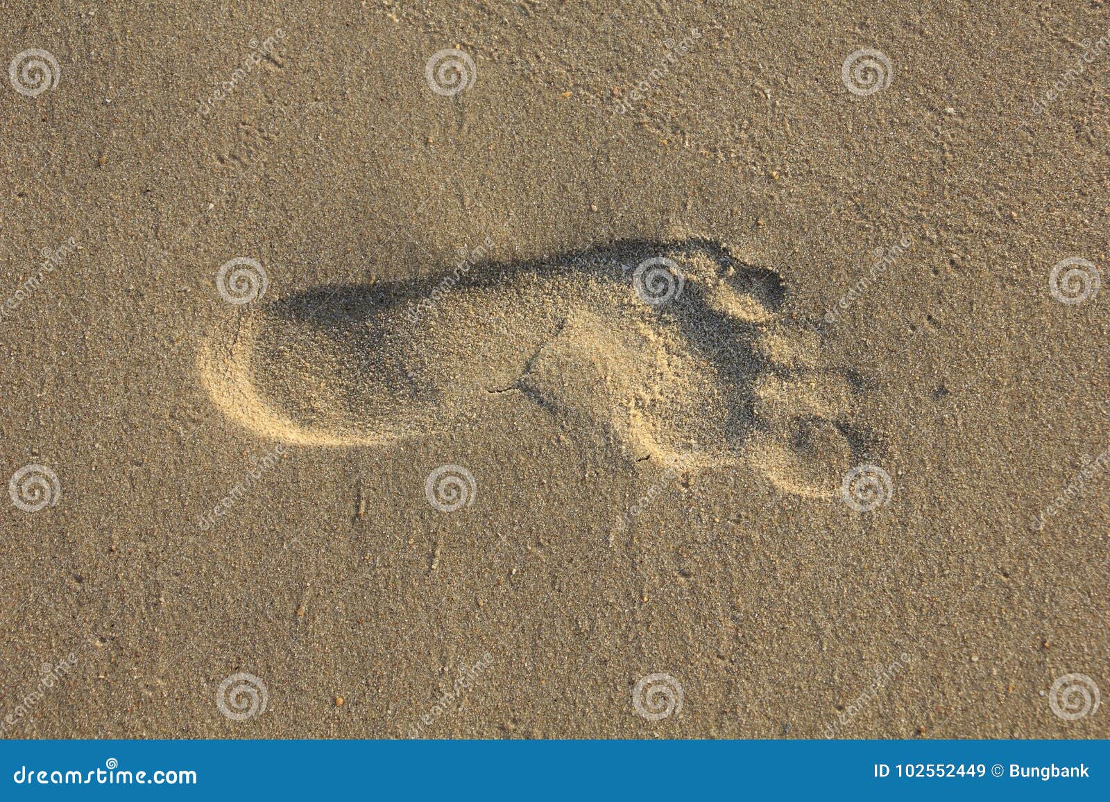 Footprint Isolated on Beach Stock Image - Image of sand, walk: 102552449
