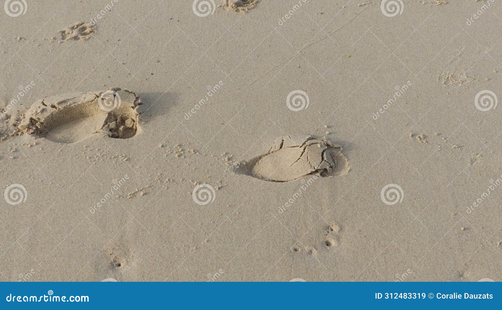 Photograph of Footsteps in the Sand Stock Image - Image of footprints ...