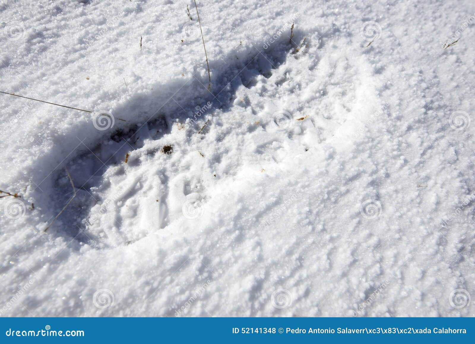 Footprint stock photo. Image of texture, background, track - 52141348