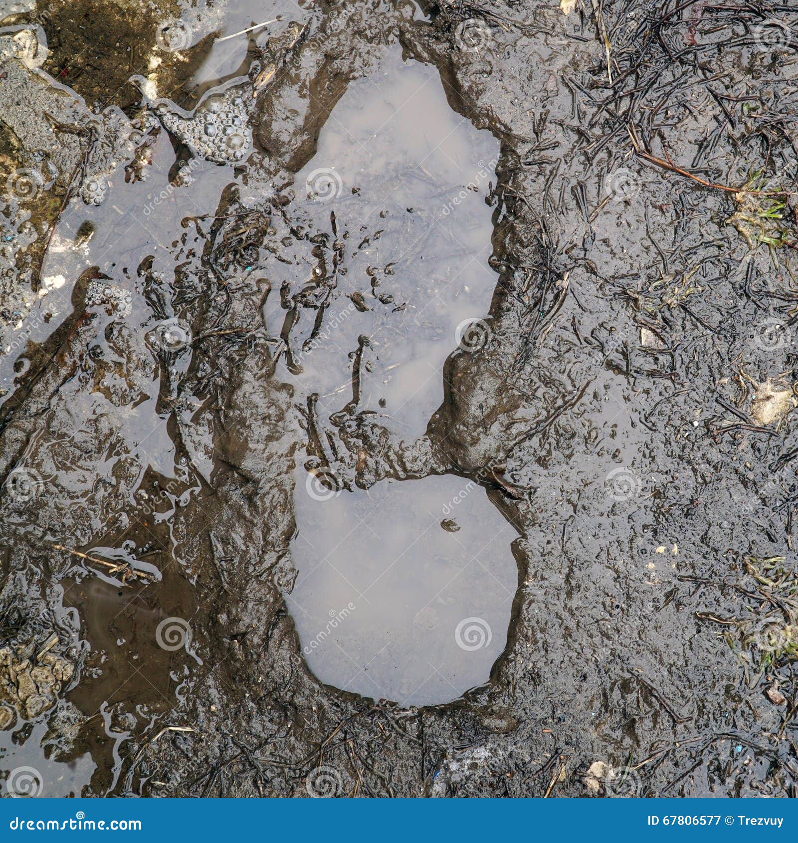 Footprint in the Mud Close Up Stock Image - Image of nature, sand: 67806577