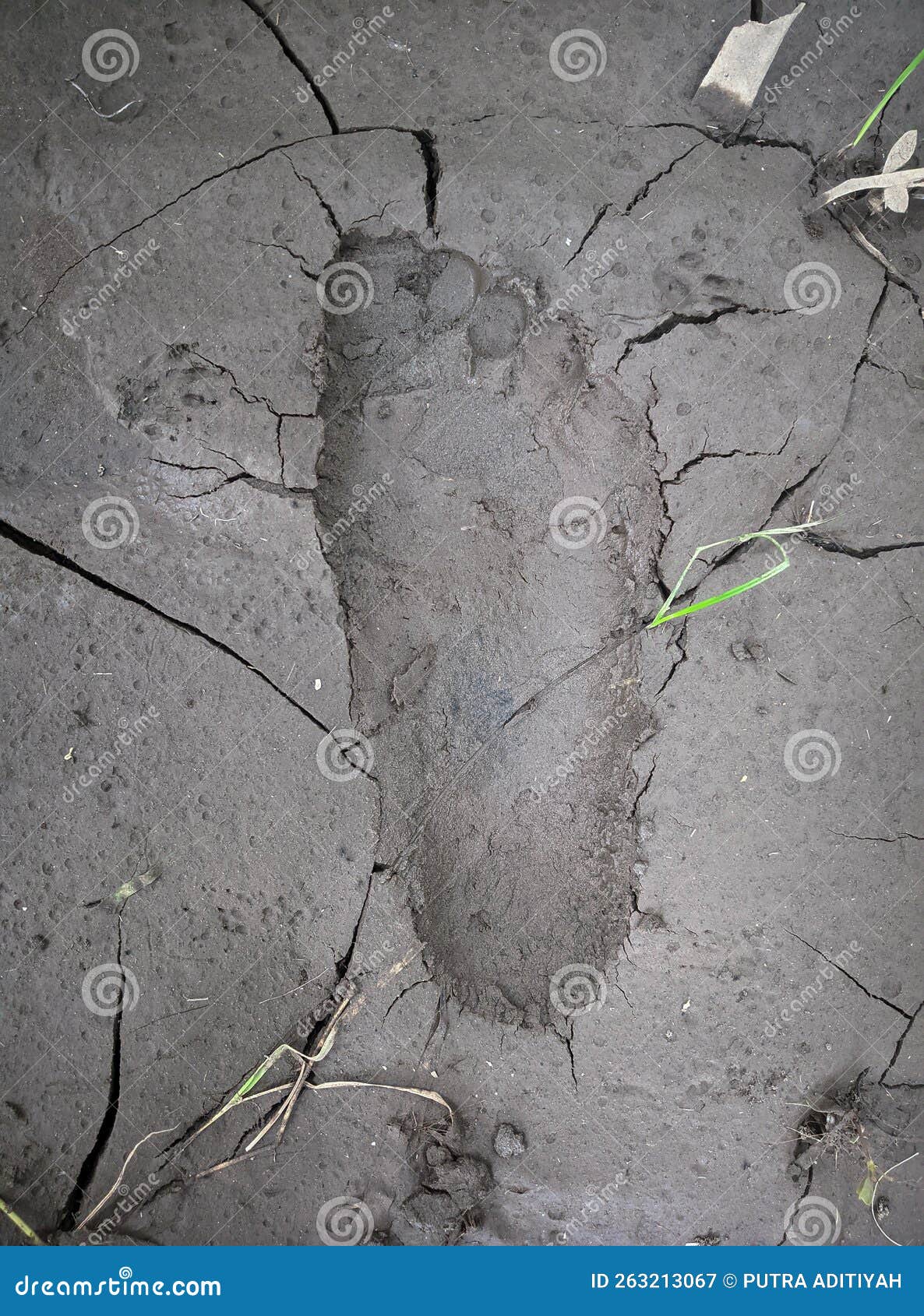 Footprint stock image. Image of human, footprint, natural - 263213067