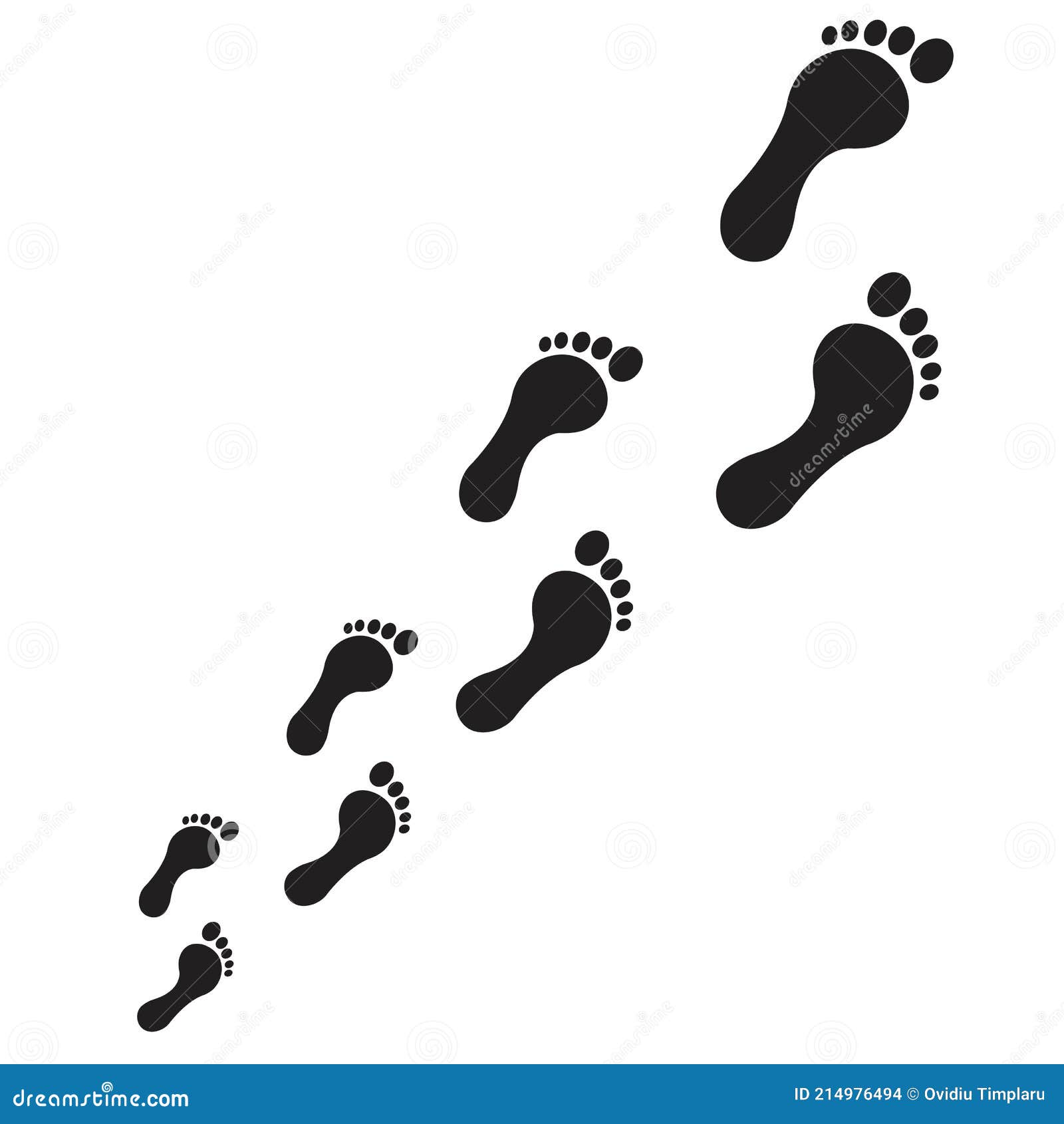 Footprint Path Vector Illustration Isolated on White Background Stock ...