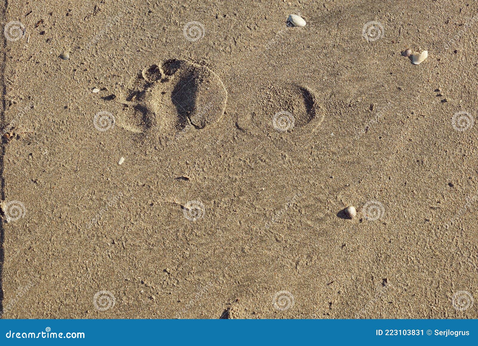 Footprint of a person stock image. Image of naturally - 223103831