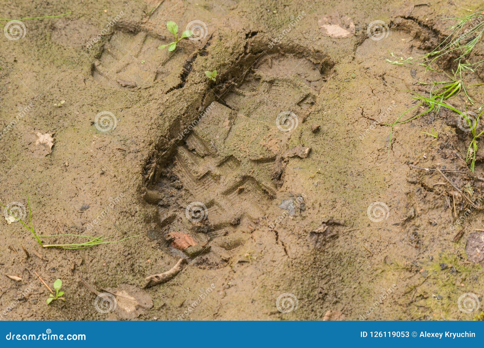 Footprint of a rubber boot stock image. Image of shoes - 126119053