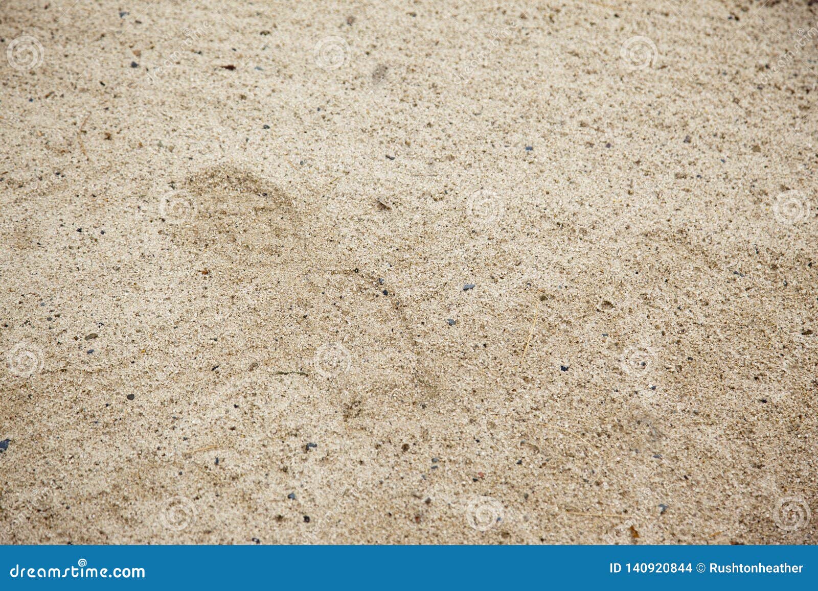 Footprint in the sand trap stock photo. Image of cleaned - 140920844