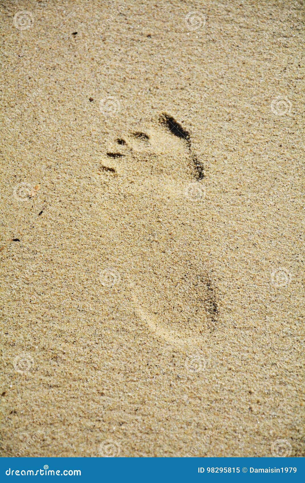 Footprint sand stock image. Image of explore, play, feet - 98295815