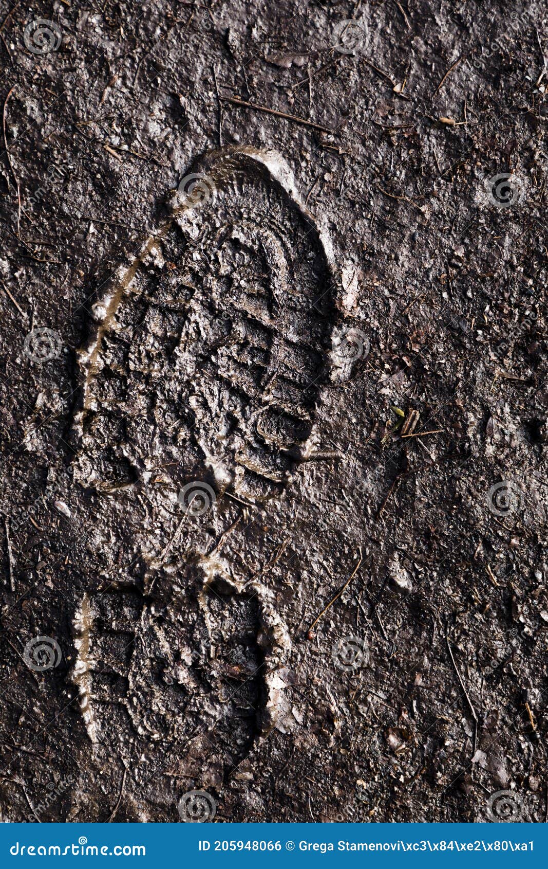 Footprint of a shoe in mud stock photo. Image of boot - 205948066