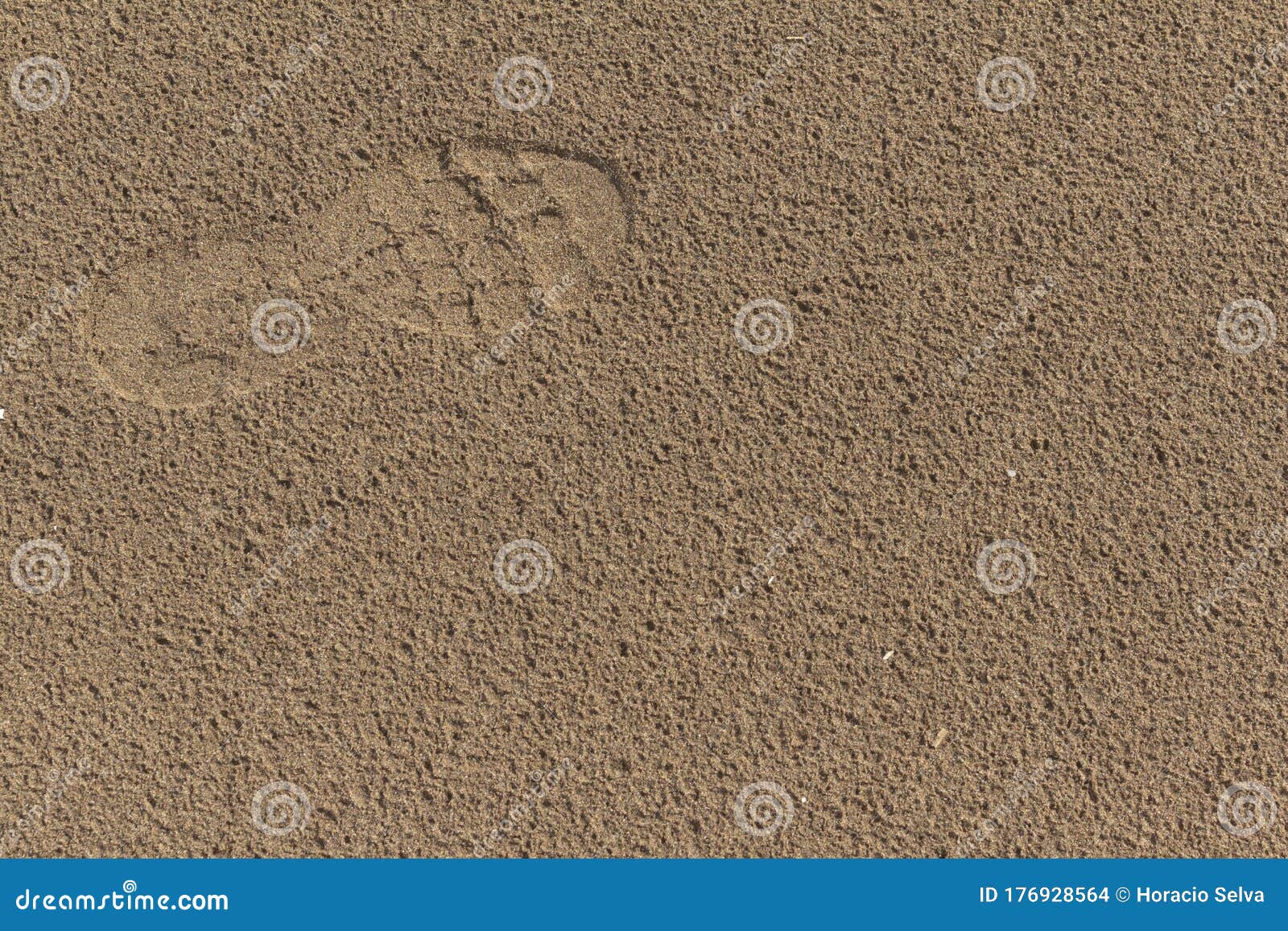 Footprint of a Sneaker in the Sand. Footstep of a Human Stock Photo ...