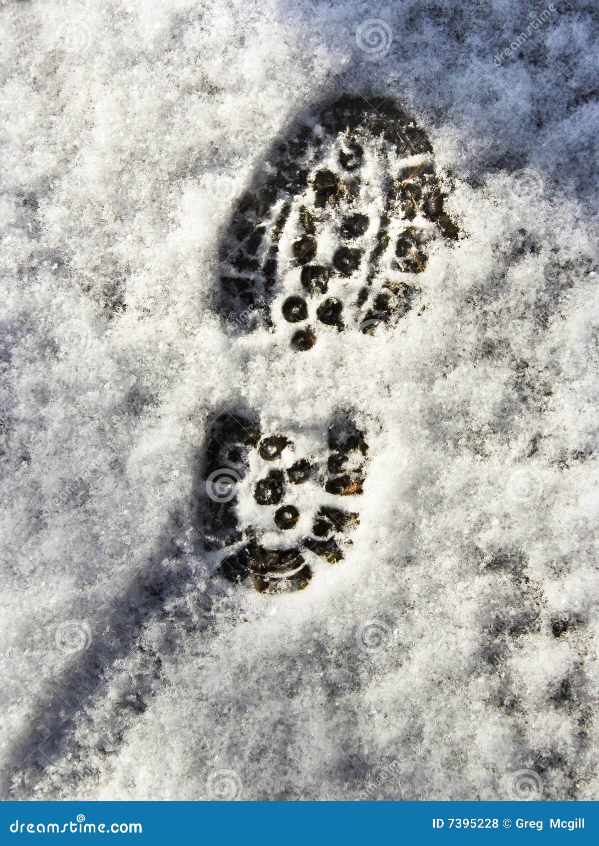 Footprint in Snow stock photo. Image of repressed, tread - 7395228