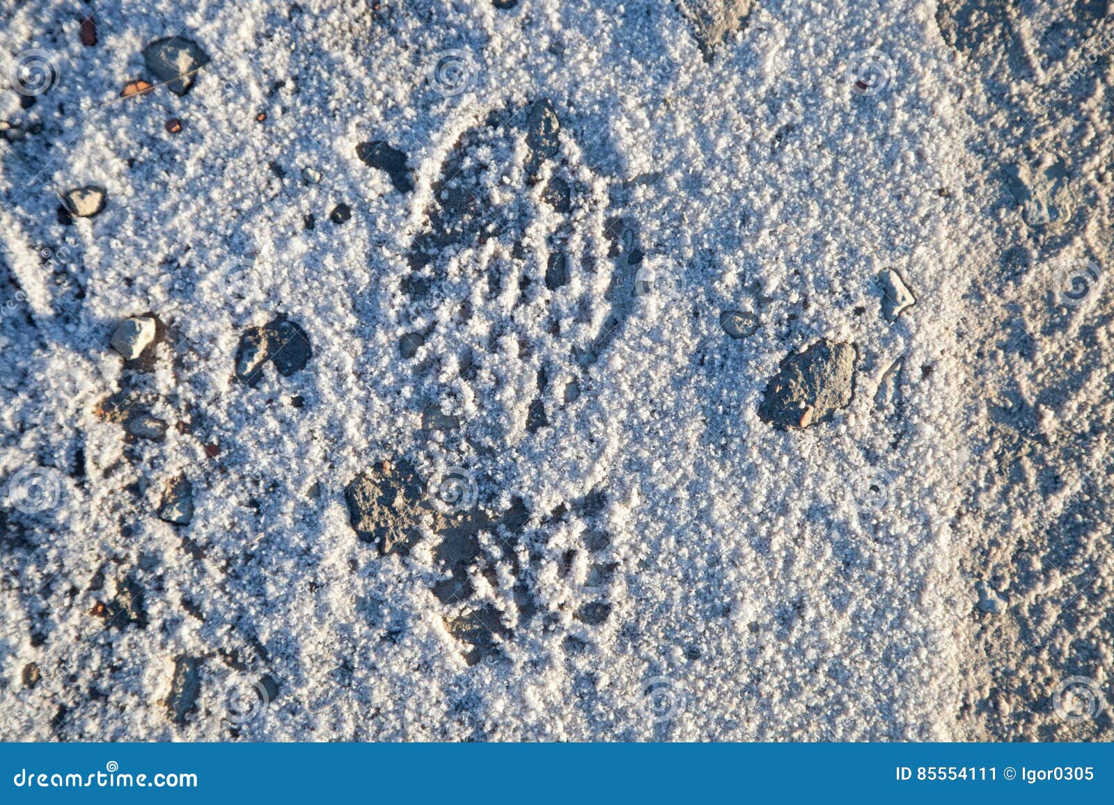 Footprint in the snow stock image. Image of weather, track - 85554111