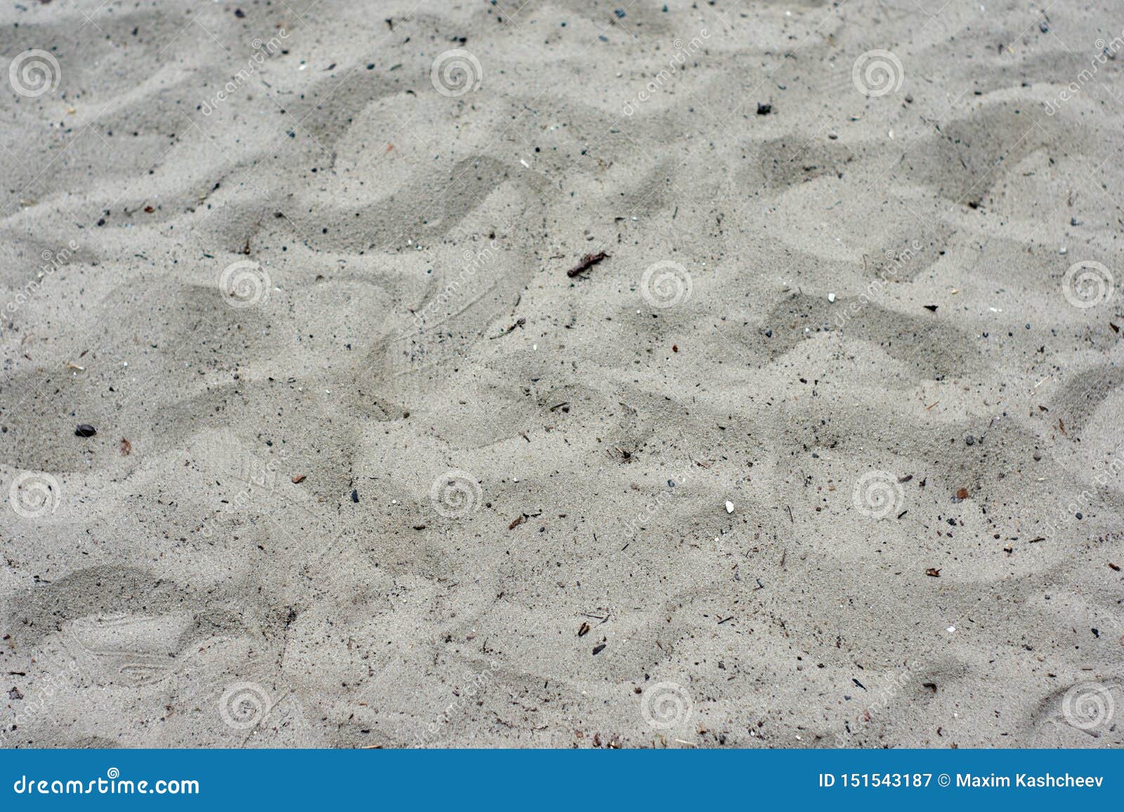 Footprint or trace on sand stock image. Image of sandy - 151543187
