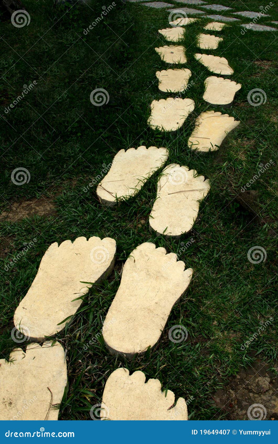 Footprint on walkway stock image. Image of natural, meadow - 19649407