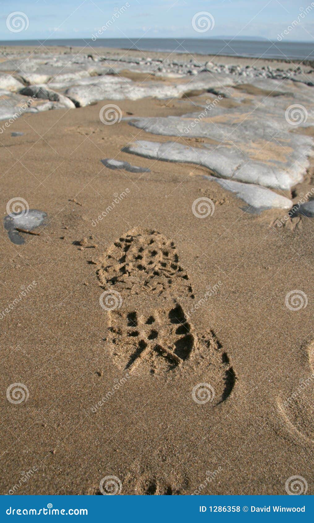 Footprint on Wet Sand on Rock Stock Photo - Image of human, toes: 1286358