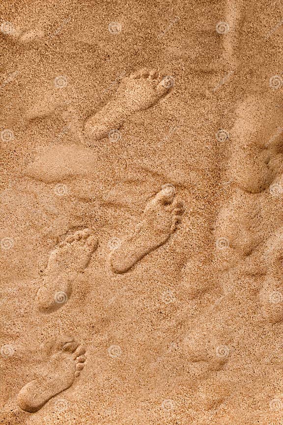 Footprints-1 stock photo. Image of curve, foot, sand, footsteps - 1633700