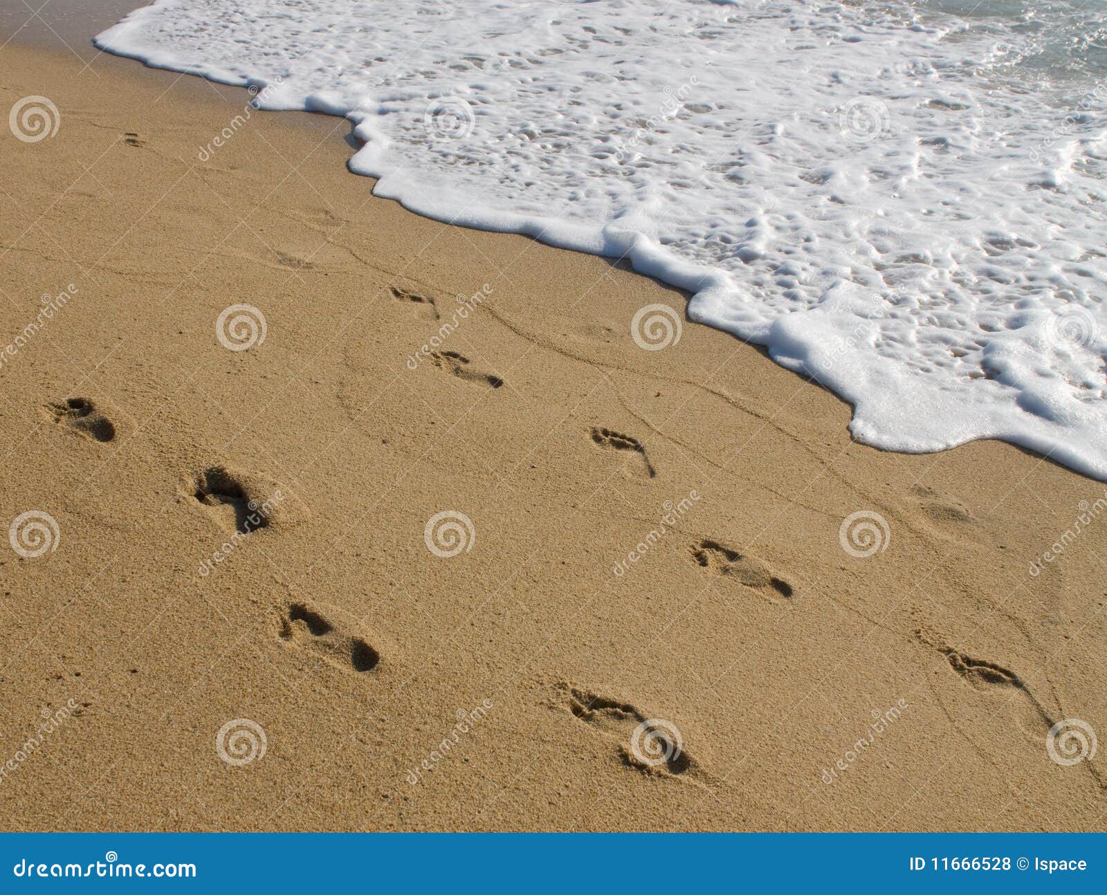 Footprints stock photo. Image of wash, ocean, coastal - 11666528