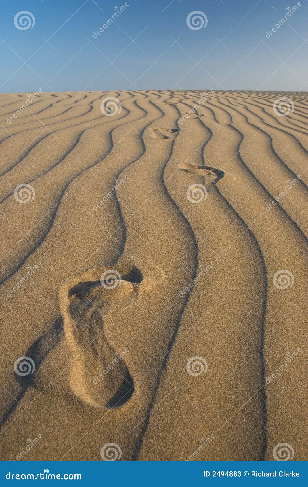 Footprints 2 stock image. Image of perspective, beautiful - 2494883