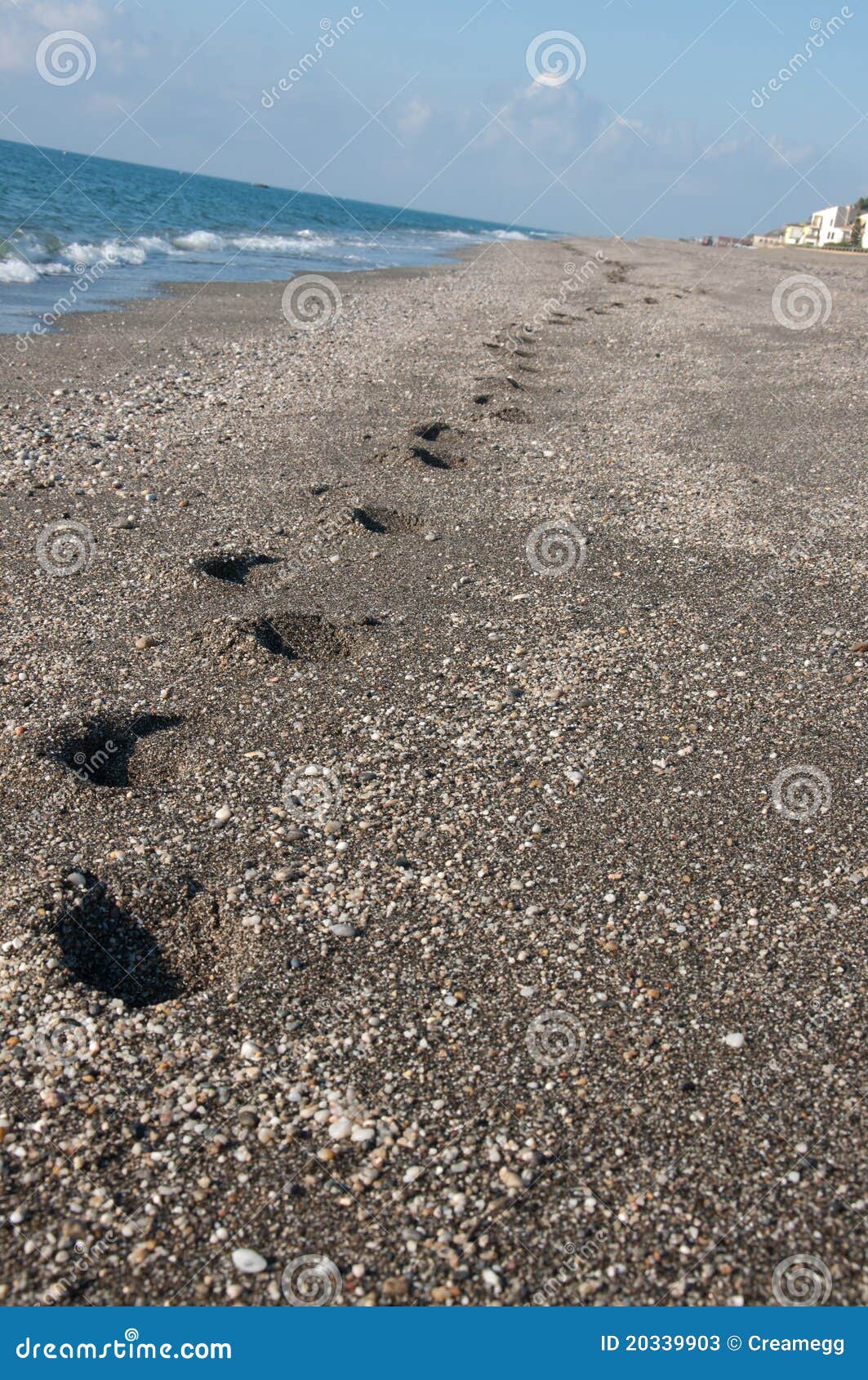 Footprints stock image. Image of journey, coastline, freedom - 20339903