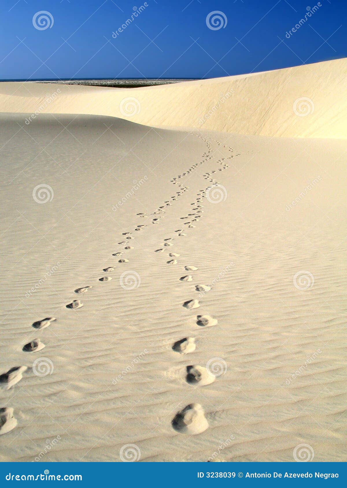 Footprints stock image. Image of pilgramige, nature, activity - 3238039