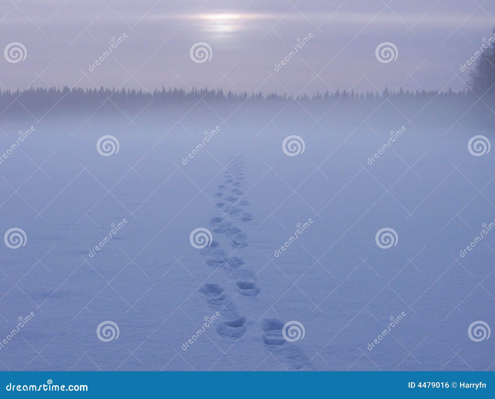 Footprints stock photo. Image of disappearing, europe - 4479016