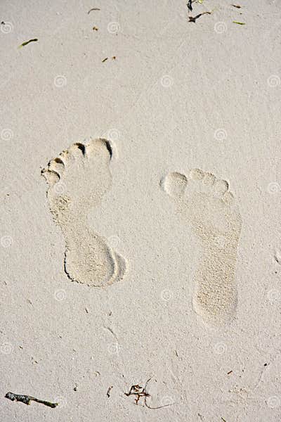 Footprints stock photo. Image of peace, prints, white - 4735346